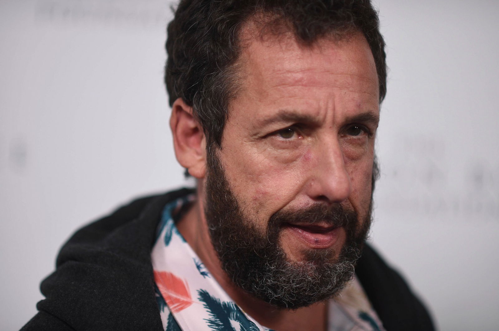 Adam Sandlert megtámadta egy gepárd, rémisztő videó is készült a ...