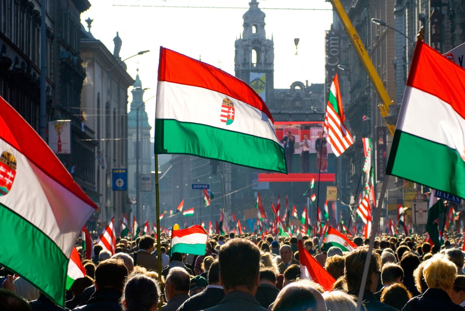 Minket ünnepel a Google, a március 15-i nemzeti ünnep örömére ezt tette ...