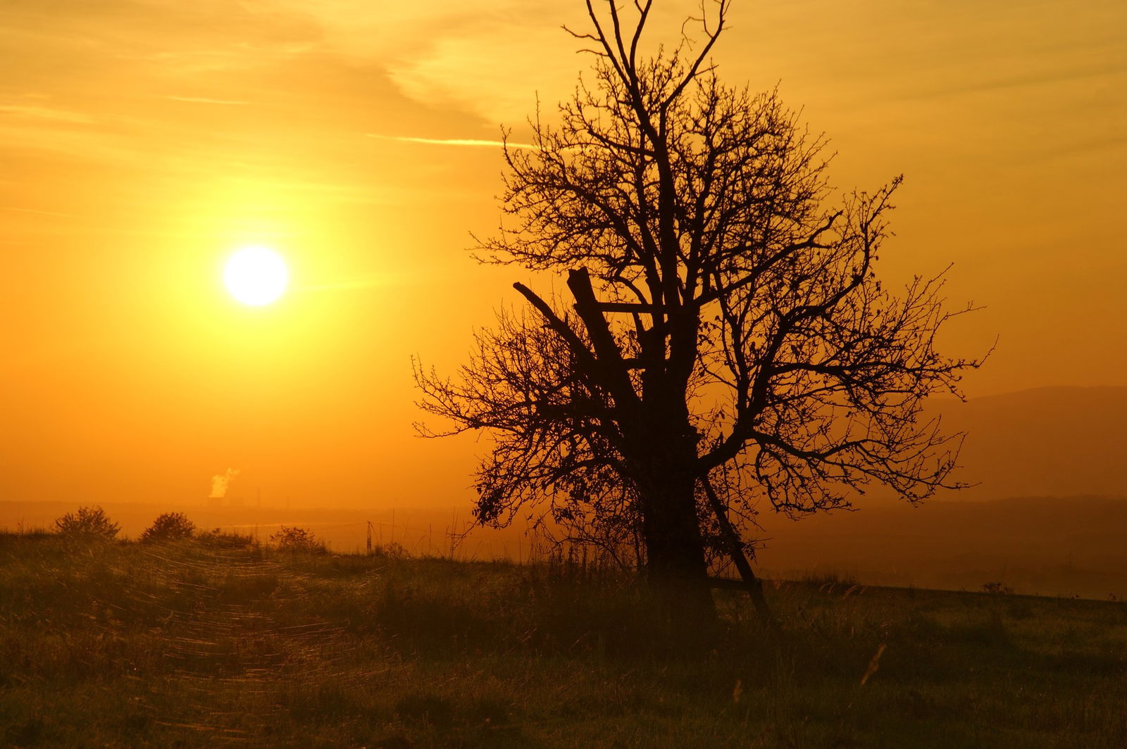 Fizikusok szerint könnyen elképzelhető, hogy a Napunk egy önálló ...