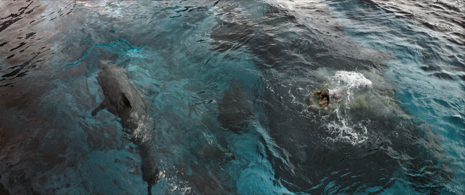 A világ legijesztőbb cápás filmjét borzalmas igaz történet inspirálta ...