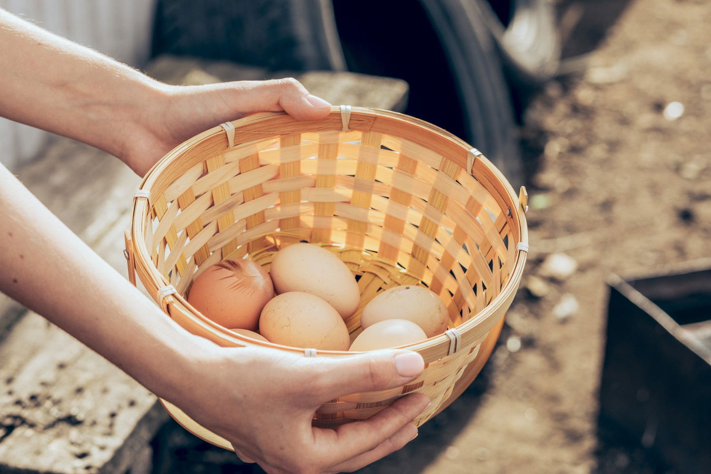 Hatalmas tojást tojt a nő tyúkja, amikor feltörte, majdnem elájult ...