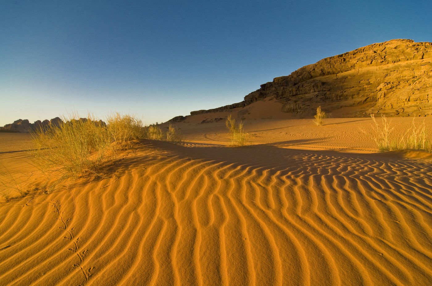 Világszenzáció, Egyiptomtól nagyon messze találták meg a legendás fáraó névjegyét, sokkal ...