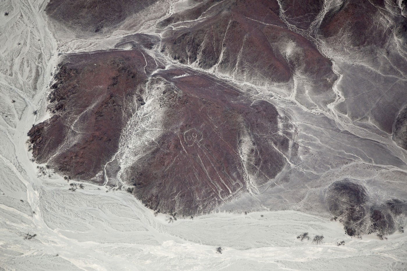 Rendkívüli idegen alakot szúrtak ki a Nazca-vonalak között, rettenetes ...