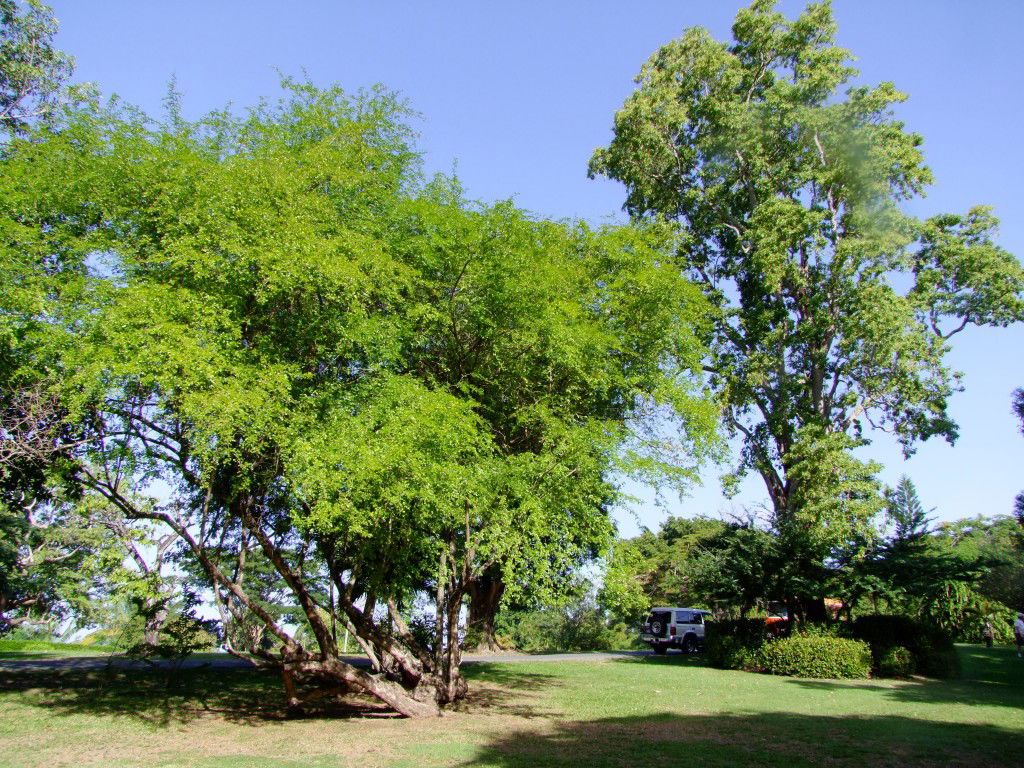 Egy sziget, amit nagyon sokan összekevernek a Dominikai Köztársasággal ...