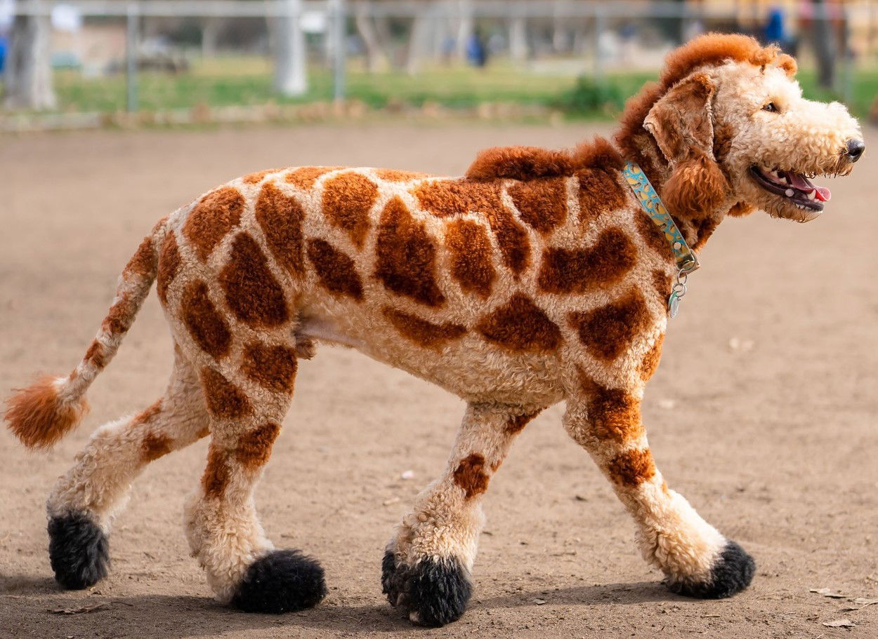 Zsiráf? Kutya? Mindkettő? Az biztos, hogy ennél cukibb állatot nem ...